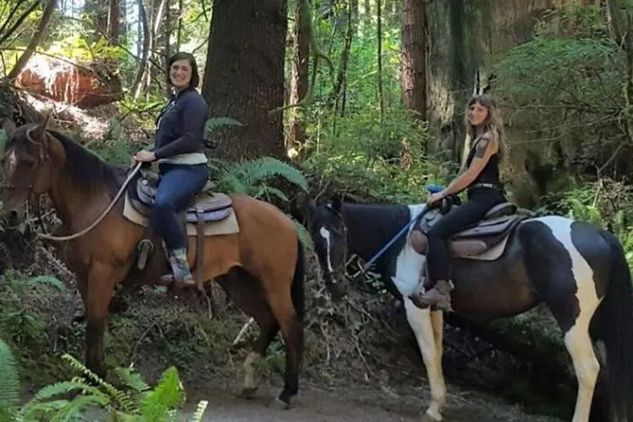 Redwood Forest Horseback Ride | Crescent Trail Rides