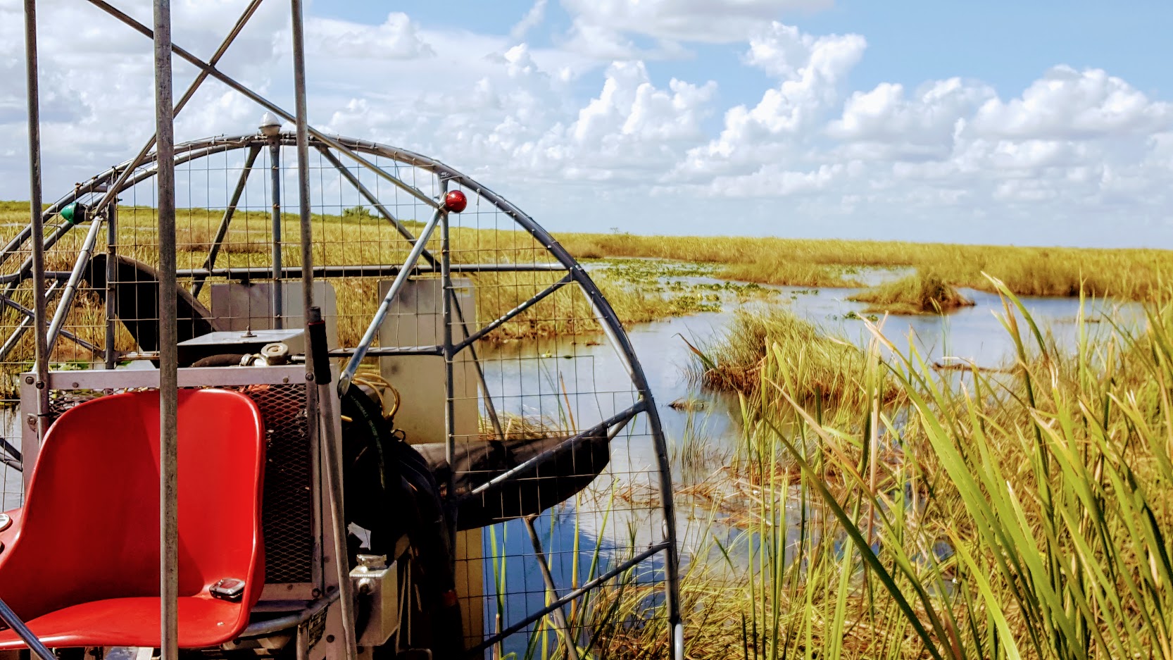 Full Day Everglades Dry Hike & Adventure | Wild Lime Adventures