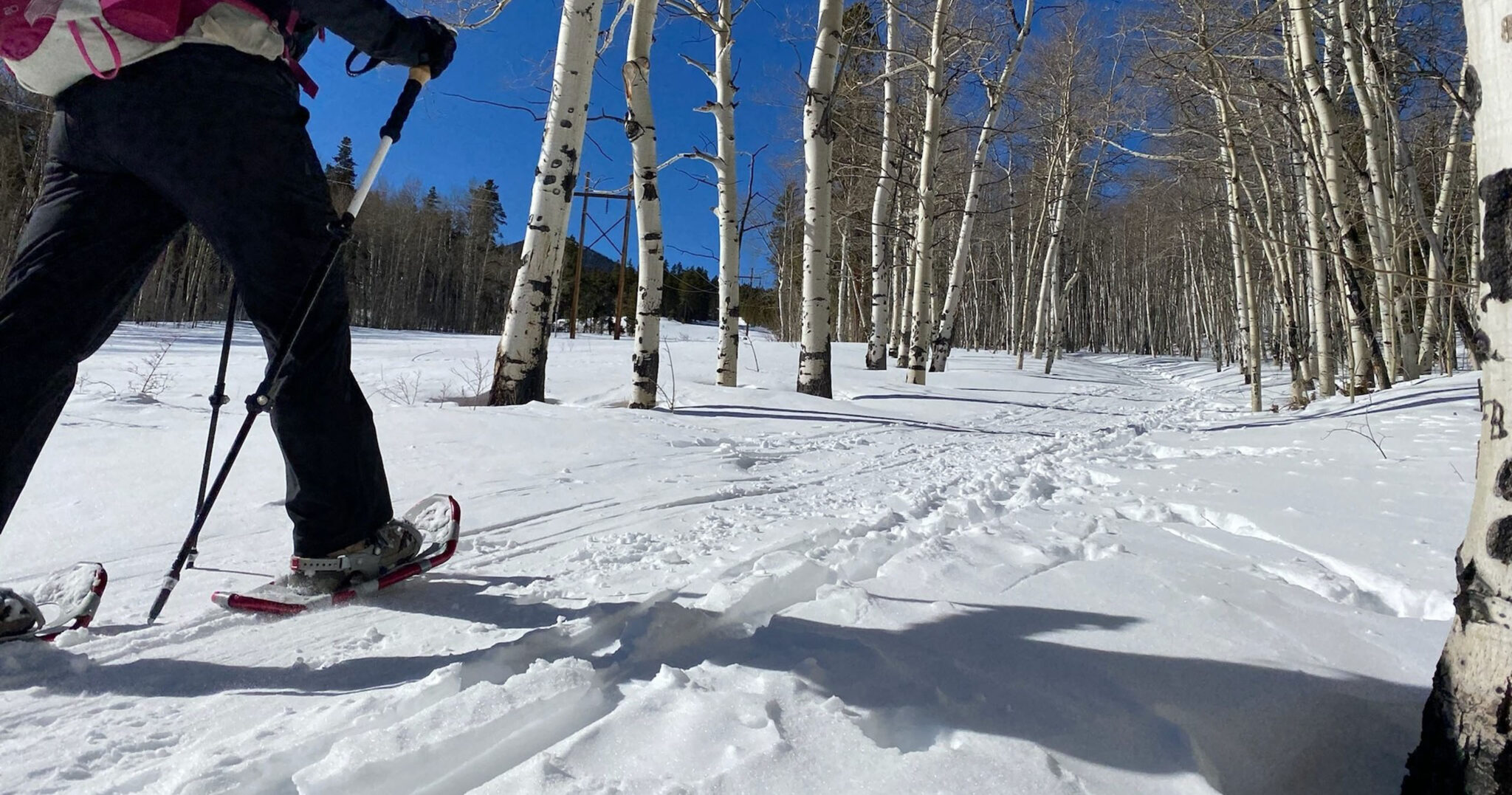 Guided Snowshoeing Tours | Colorado Winter Adventures